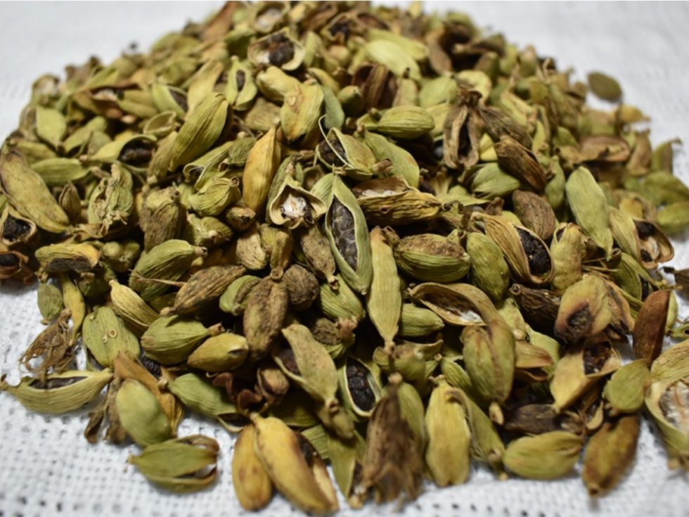 Categories - Cardamom Global