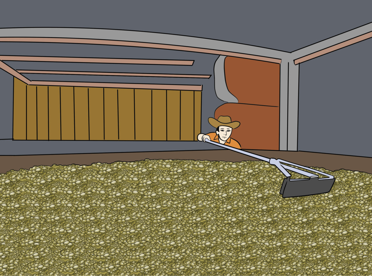 Process - Cardamom Global